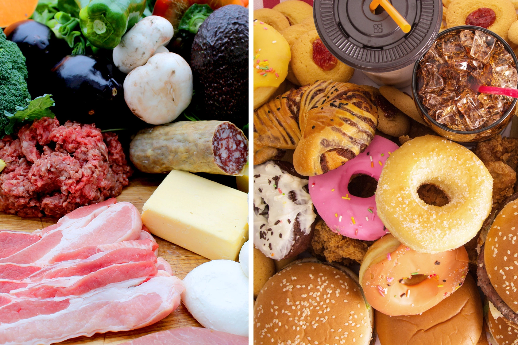 Pros y contras de alimentos procesados, ¿Se recomienda su consumo? - CNC Salud